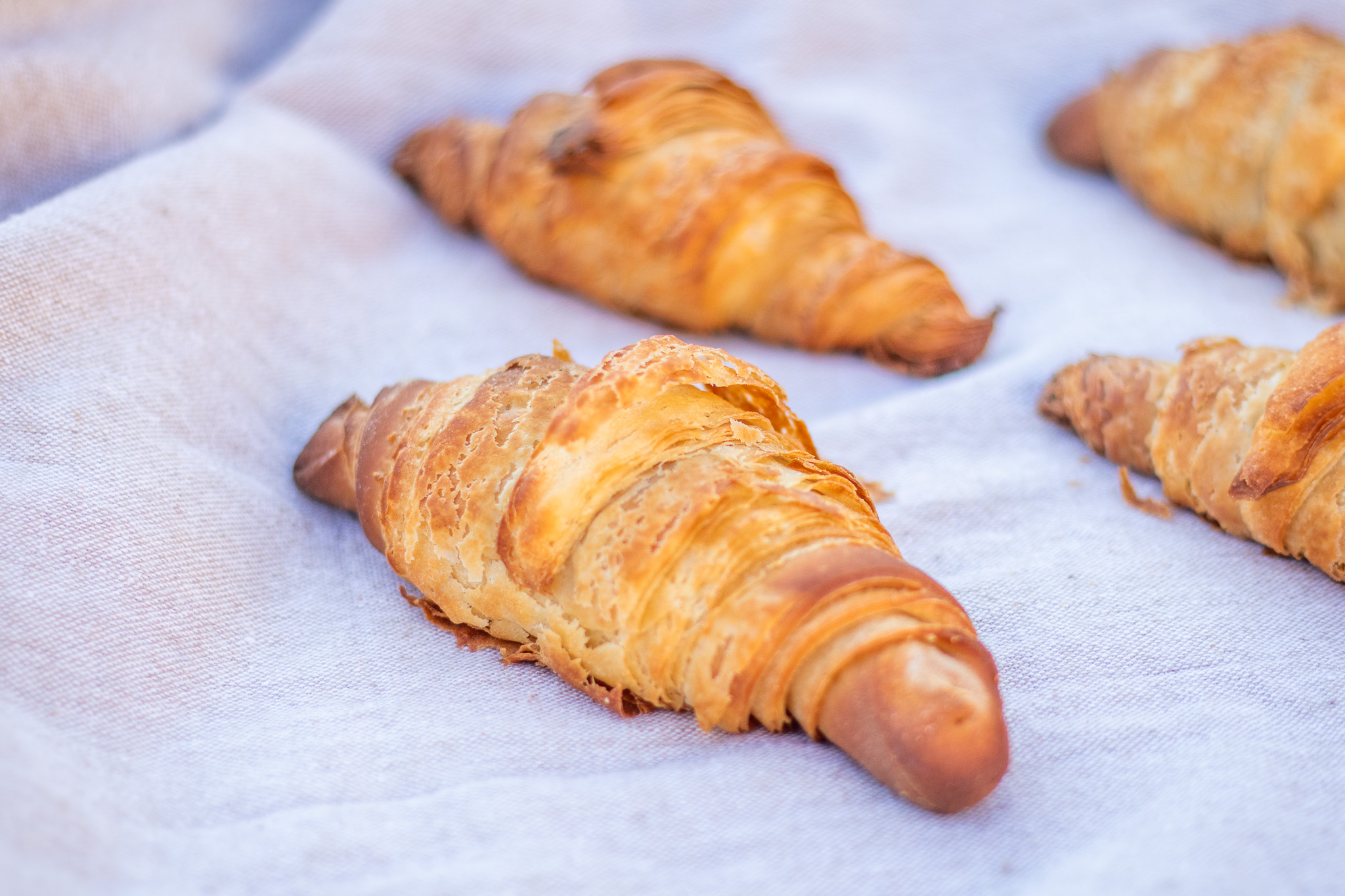 Our Bread - Moorrees